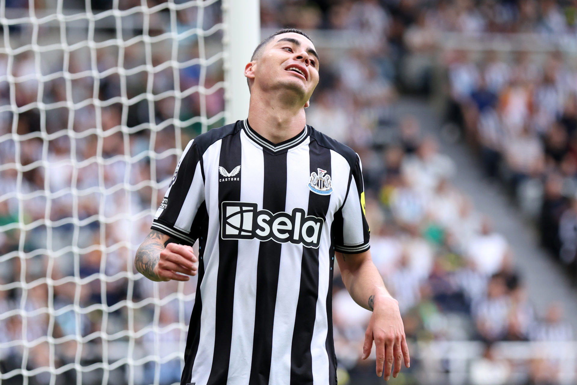 Newcastle track forward with 'marvellous speed'; he dribbles more than ...
