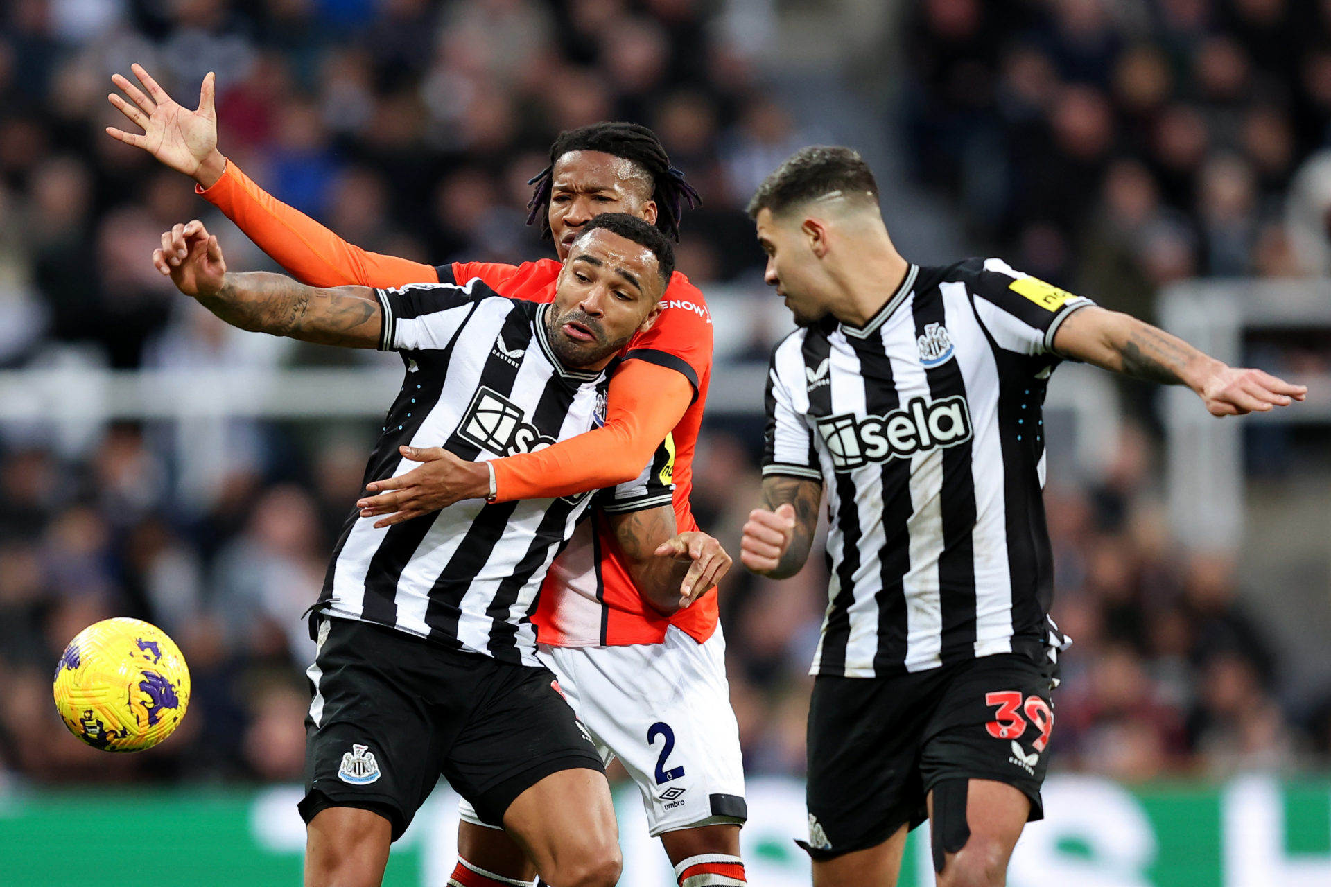 'Frustrating'... Callum Wilson really wishes 24-year-old Newcastle ...
