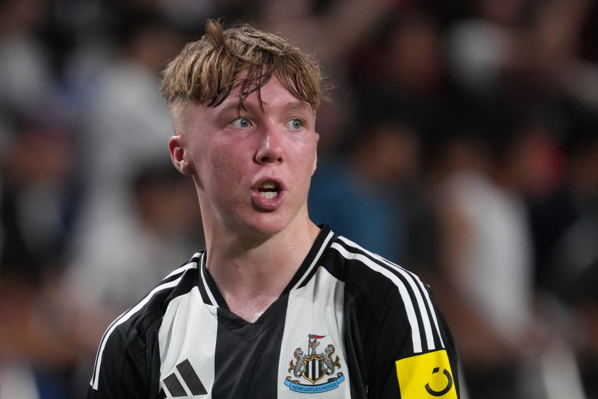 What Newcastle United now plan to do with Alfie Harrison this season ...