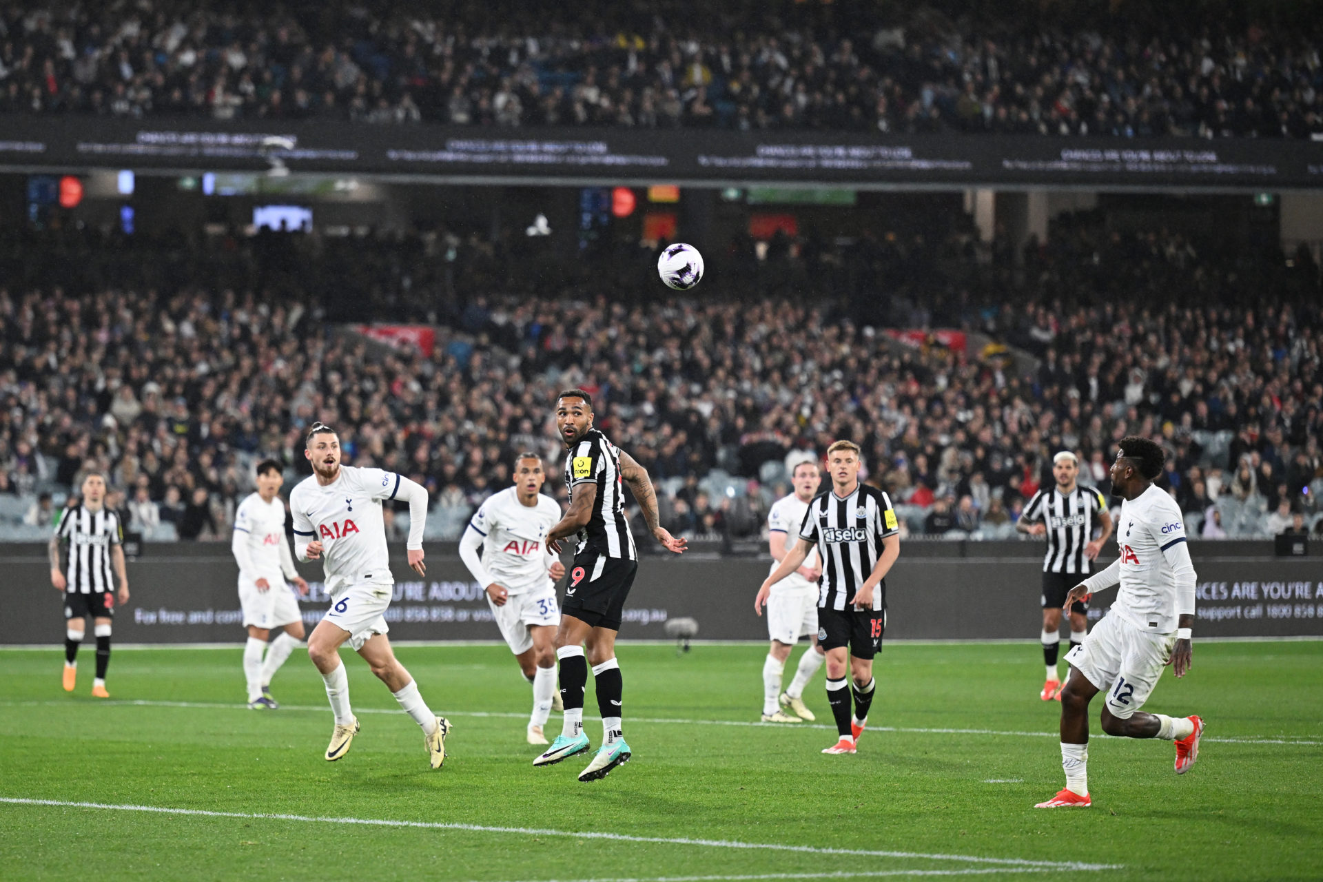 Two Newcastle players are now doubts to face Wolves next weekend with ...