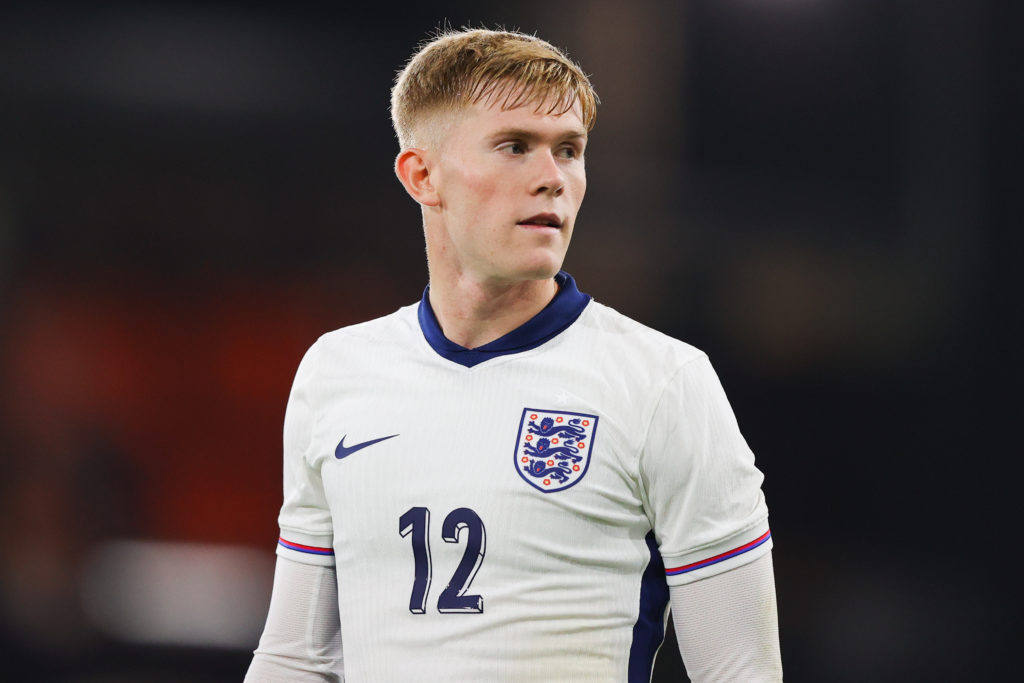 Newcastle fans have mixed feelings about England announcement as Lewis ...