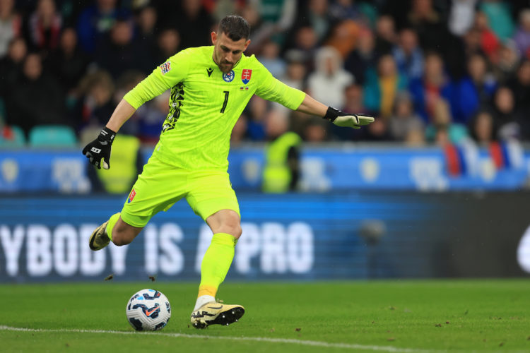How Newcastle United players did on international duty as Dan Burn ...