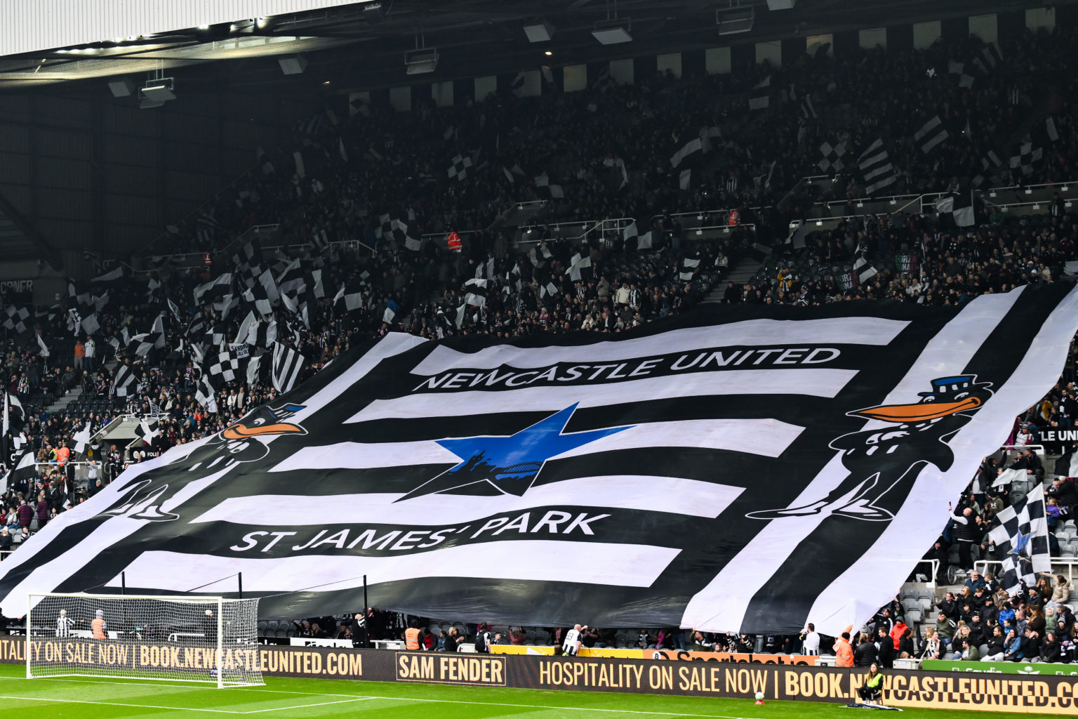 The Sam Fender-inspired banner spotted at St James' Park for Newcastle ...