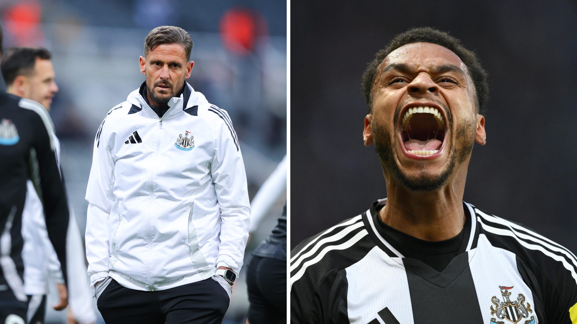 Jason Tindall knows exactly why Jacob Murphy does not get the credit he ...