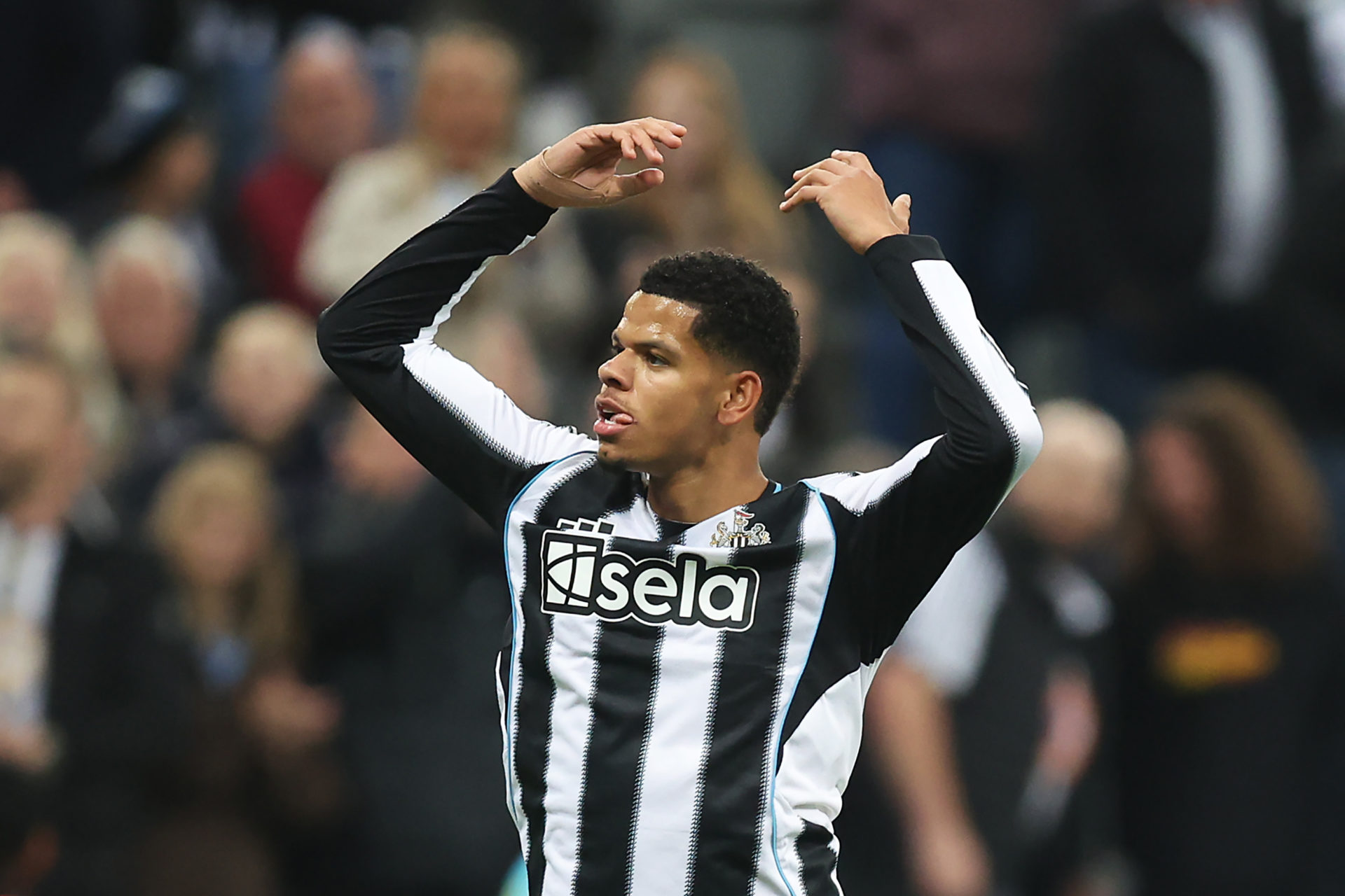 Four issues Newcastle United need to address in the January transfer ...