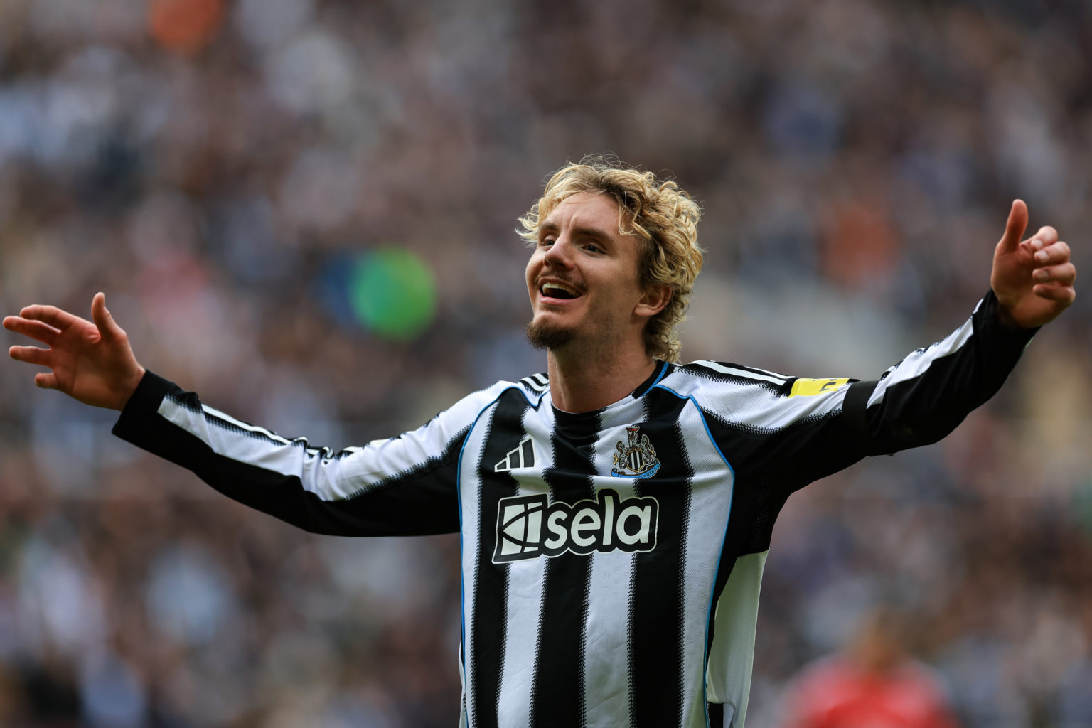 Nick Woltemade's Newcastle United transfer now branded 'surreal' by ...