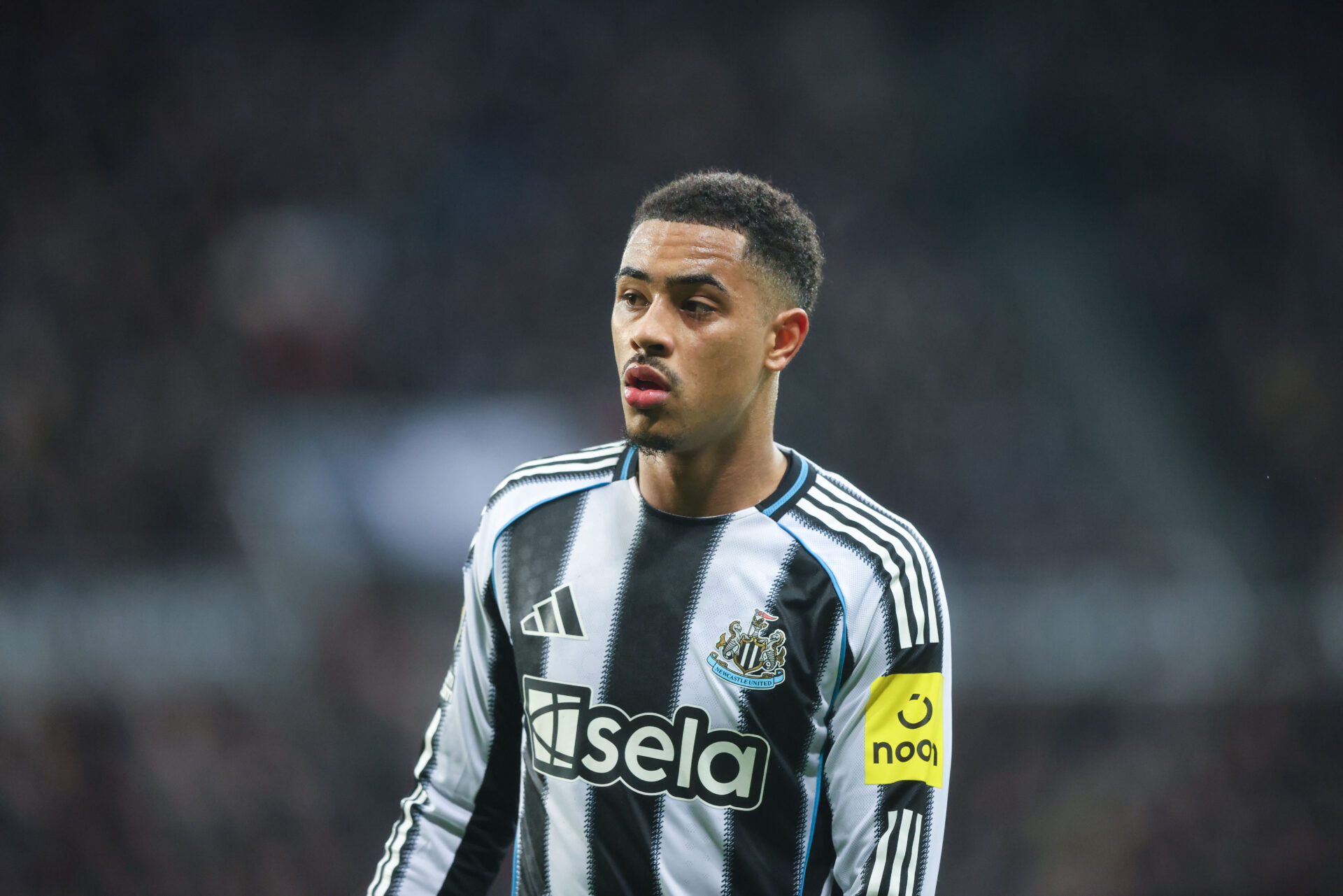 Pressure mounts on Jacob Ramsey as Eddie Howe issues intriguing ...