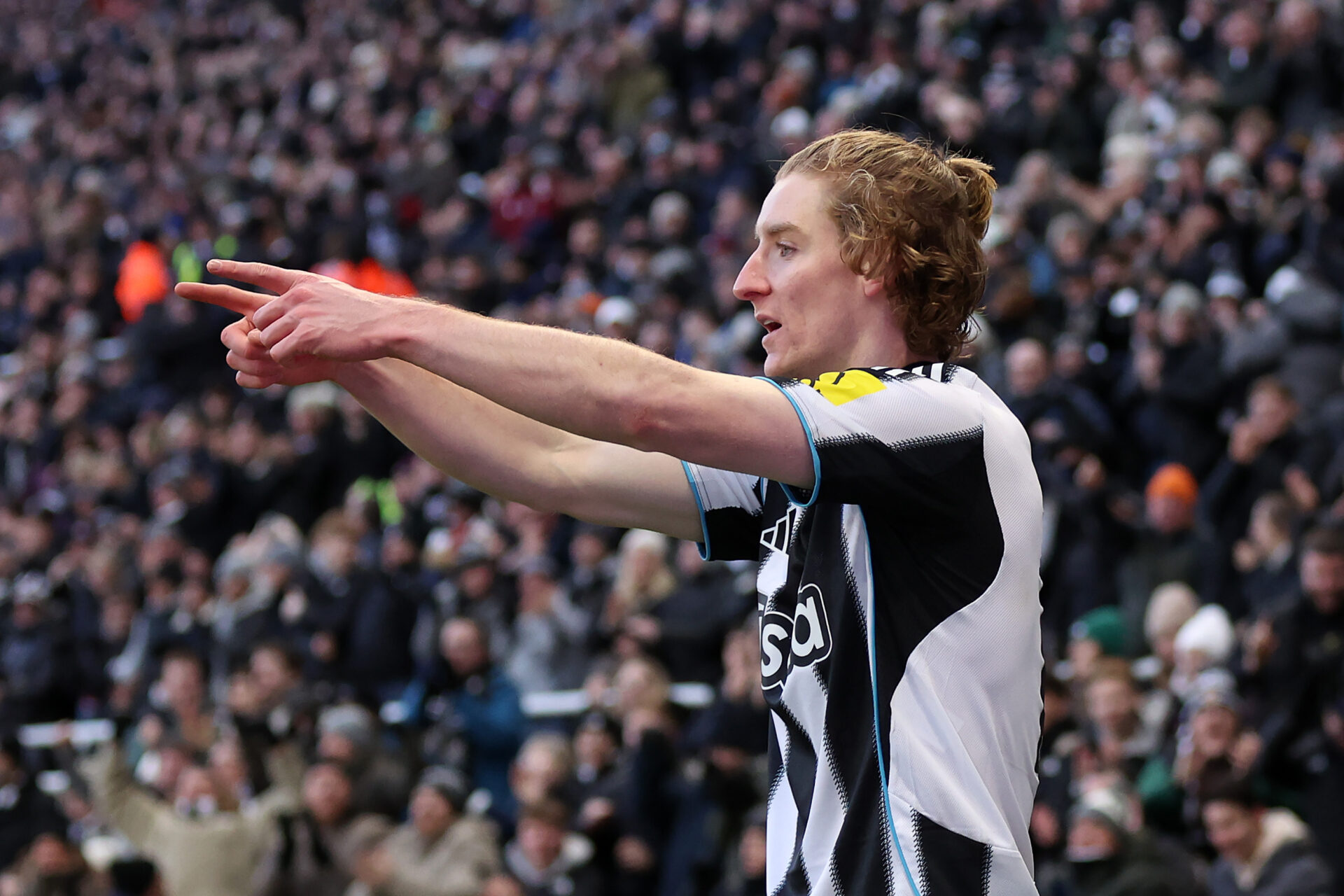 It's time for Anthony Gordon to stand up after shock Newcastle United ...