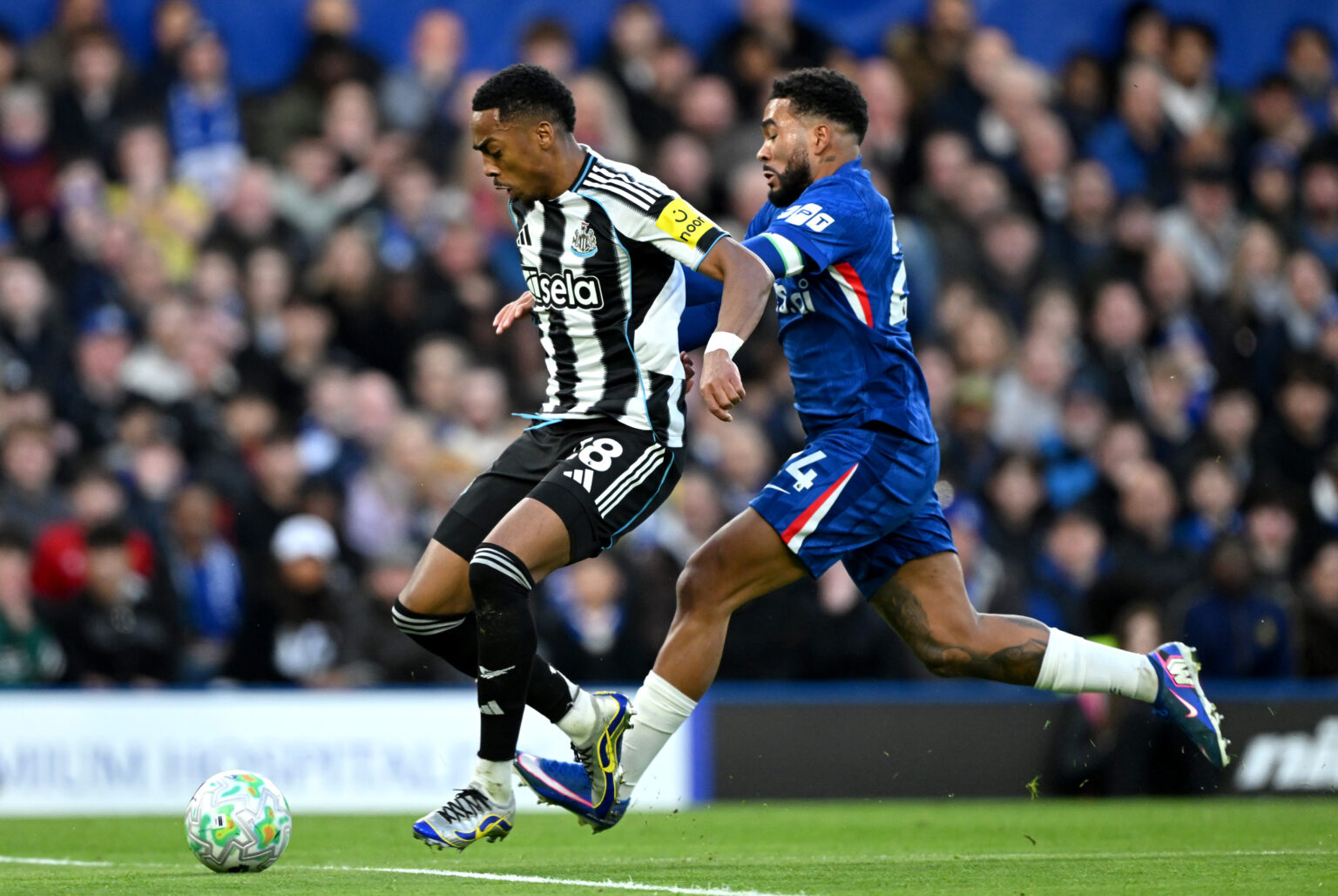 Newcastle player ratings vs Chelsea as Joe Willock makes statement and ...